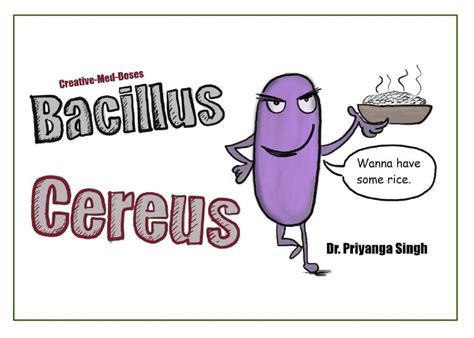 Bacillus Cereus The Visual Comic By Creative Med Doses