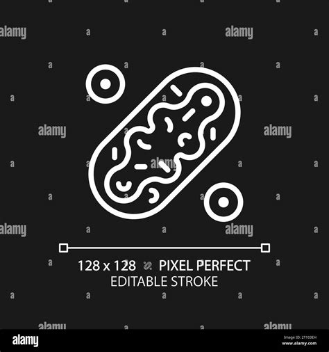 2d Customizable Thin Line White Mitochondria Icon Stock Vector Image