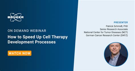How To Speed Up The Cell Therapy Development Processes Advancing Car T