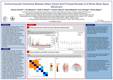 Pdf Corticomuscular Coherence Between Motor Cortex And Principal Muscles In A Whole Body Squat