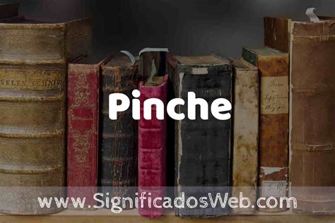 Definición De Pinche Que Es 5 Ejemplos Tipos Y Para Que Sirve