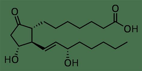 Perbedaan Antara Prostaglandin Dan Leukotrienes Prodiffs