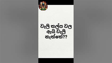 ජිවිතයේ මට තියෙන ප්‍රශ්න Plez Subscribe Newcomadyprasnatrending