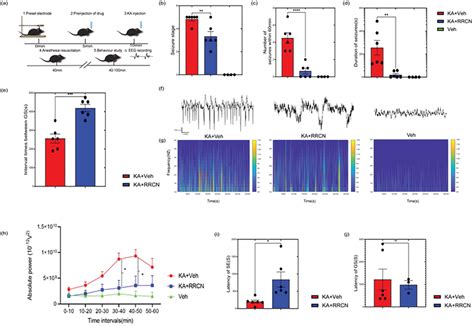 In Vivo Antiseizure Effects Of Rrcn In Kainic Acid Ka Epilepsy Model
