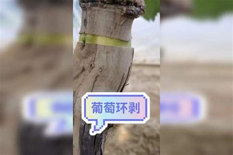 不要让情绪控制行动控制情绪行动