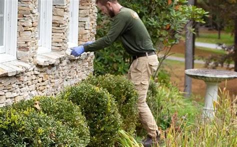 Rodent Control Albany Ny Rodent Exterminator Schenectady Ny Rodent Exterminator Troy