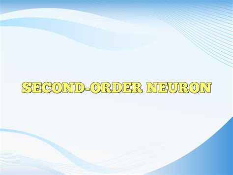 Second Order Neuron Definition And Meaning