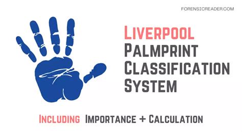 Liverpool Palm Print Classification System How To Calculate Values