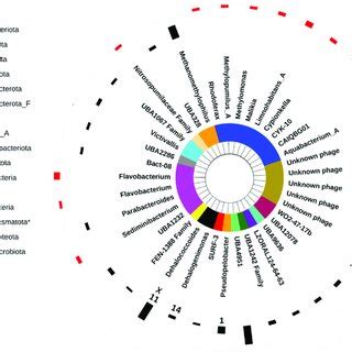 Shotgun (SG) data at the genus level. Microbial community composition... | Download Scientific ...