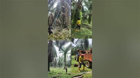 জীবনে এই গরীব ঘরে জন্ম নিলে বোঝা যায় দুনিয়াটা কতটা কঠিন