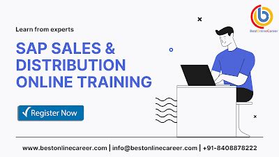 SAP Sales And Distribution Introduction Overview SAP SD Introduction Overview