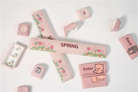 郁金香飘进我的春天coolkiller spring 知乎