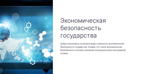 Экономическая безопасность государства