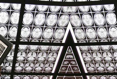 Pre Masters Programme Medical Informatics University Of Amsterdam