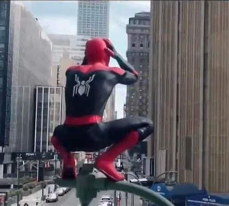 Mapache Geek El Spider Verse Debería Ser Eterno