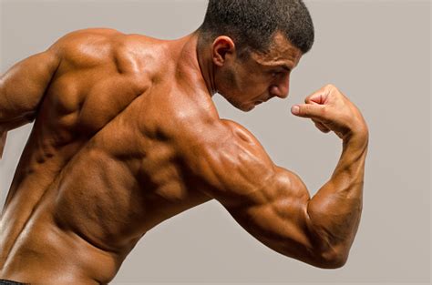 Bodybuilder 표시중 그의 등근육 으쓱하는 삼두근 팔근육 근육 2015년에 대한 스톡 사진 및 기타 이미지 2015년