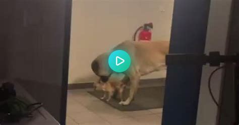 Long Distance Relationship Album On Imgur