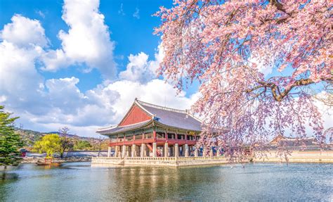 7D5N FAVORITE KOREA 26 JUNI 2 JULI 2023 Cheria Holiday