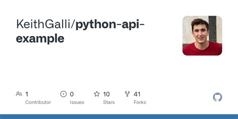 Github Keithgallipython Api Example