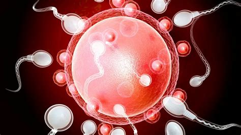 Mcat Biology Content Review And Study Notes By Top Scorers