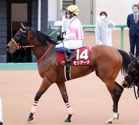 【ニュージーランドt】モリアーナ4着でタイトル奪取ならず 武藤雅騎手「外を回ったぶん、最後に響いた」 競馬ニュース Netkeiba