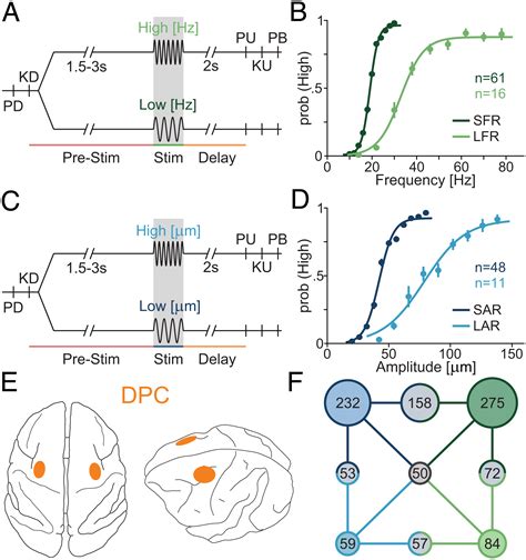 An Abstract Categorical Decision Code In Dorsal Premotor Cortex Pnas