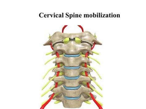 Cervical Spine Mobilization Manual Therapy Pdf