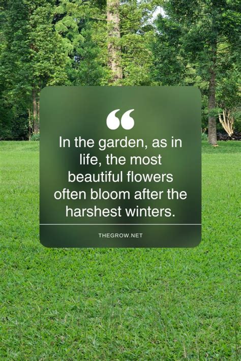 Inspiring Quotes On Kitchen Garden Cultivating Nature At Home