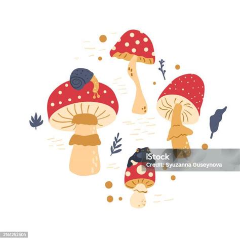 흰색 배경에 고립 된 파리 Agaric 구성 벡터 손으로 그린 평면 그림 독성 물질에 대한 스톡 벡터 아트 및 기타 이미지