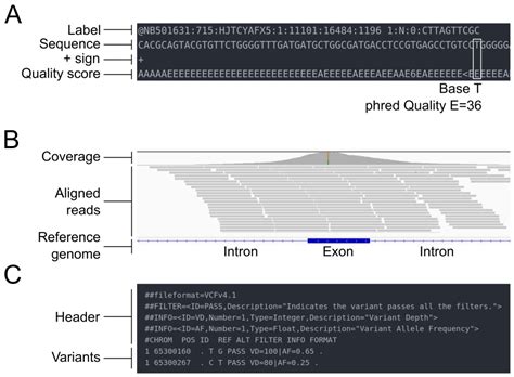 Next Generation Sequencing In Clinical Oncology Encyclopedia Mdpi