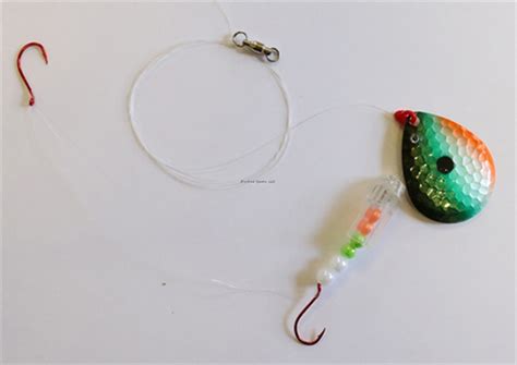Dodds Sporting Goods Acme Spinner Rig Large Lizard