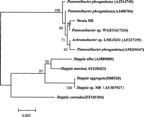 Chromium Contamination Patented Technology Retrieval Search Results