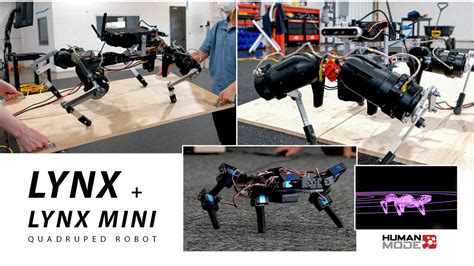 human mode on linkedin quadruped robotics and artificial intelligence