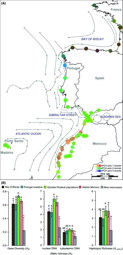Genetic Distinctiveness And Mean Levels Of Genetic Diversity Estimates
