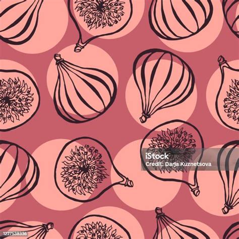 손으로 그린 과일 요소 무화과와 원활한 패턴 채식 벽지 디자인 포장 섬유 배경 디자인 엽서 및 포스터 0명에 대한 스톡 벡터 아트 및 기타 이미지 Istock