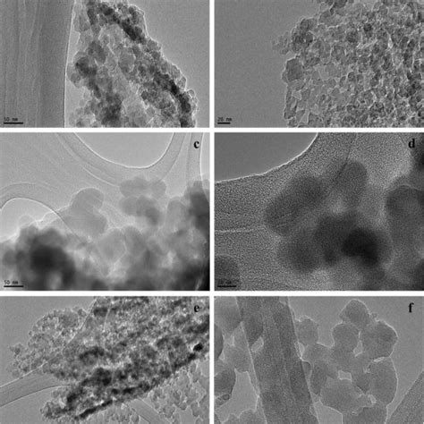 Silica Nanostructure Effect On Cellular And Nuclear Morphology Of Human Download Scientific