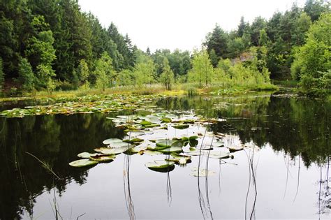 Svaneke, Denmark 2024: All You Need to Know Before You Go - Tripadvisor