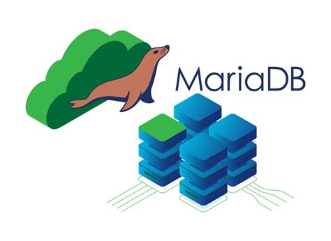 Using Mariadb As A Service On The Paas Platform Cloudsigma