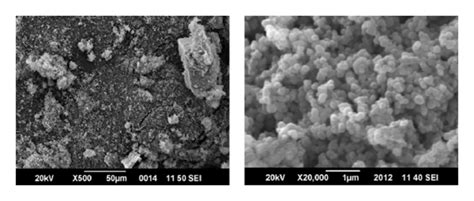 A Sem Image Of 1 Ag Doped Tio2 Taken At ×500 And At ×20 000 B Sem Download Scientific
