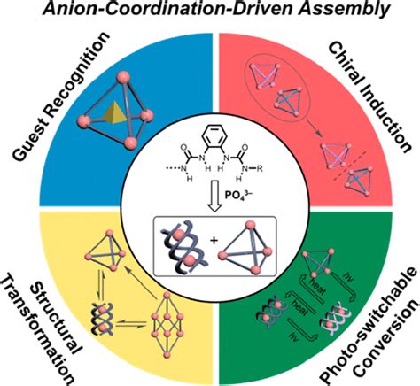 Anion Coordination Driven Assembly Accounts Of Chemical Research