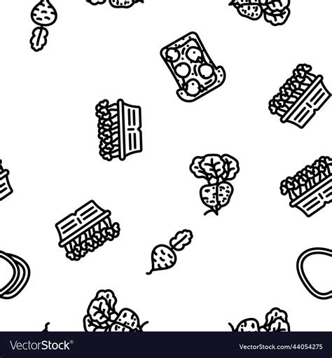 Radish Food Organic Vegetable Seamless Royalty Free Vector