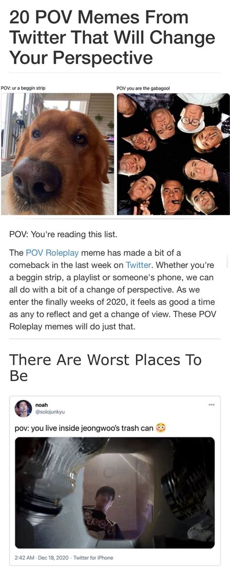 20 Inspiring Pov Memes To Shift Your Perspective