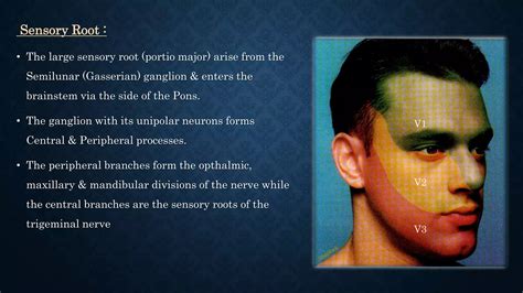 Trigeminal Nerve And Its Course PPTX