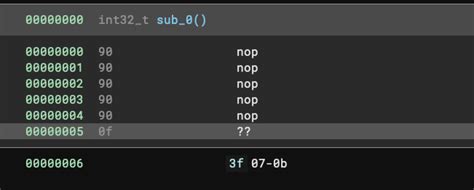 Patch Convert To Nop Does Not Work On An Invalid Instruction