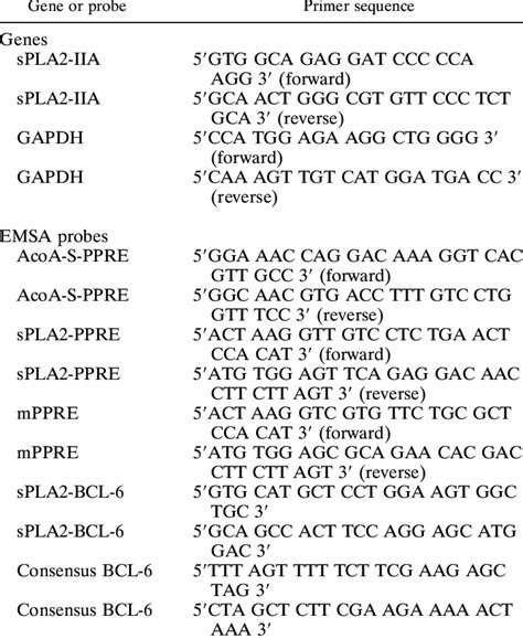Primer Sequences For The Different Tested Genes Download Table