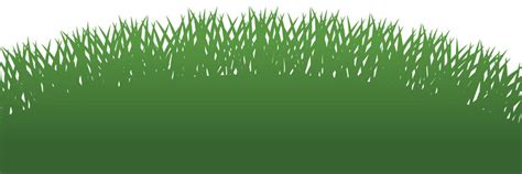 Fresh Green Grass Field Royalty Free Vector Image