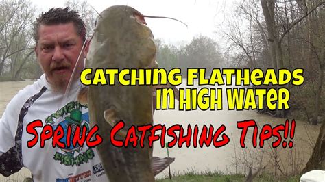 How To Catch Catfish In Flood Water Bank Fishing For Flathead Catfish