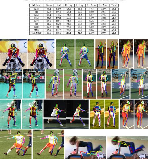 Occlusion Aware Human Pose Estimation With Mixtures Of Sub Trees