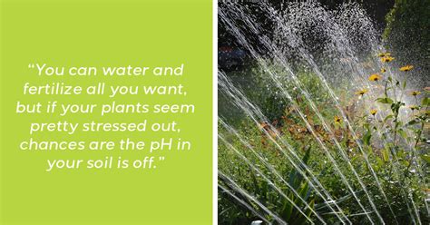 Mother Nature Correcting Soil Acidity