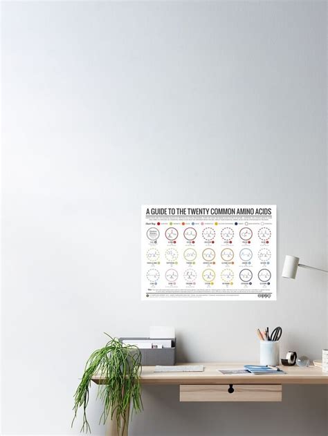 20 Amino Acids Poster By Compoundchem Aff Aff Amino Acids